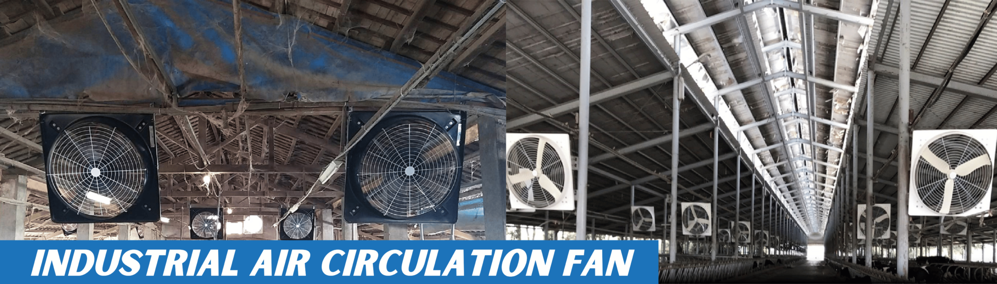 EvapKool- Industrial Air Circulation Fans | Constromech FZCO